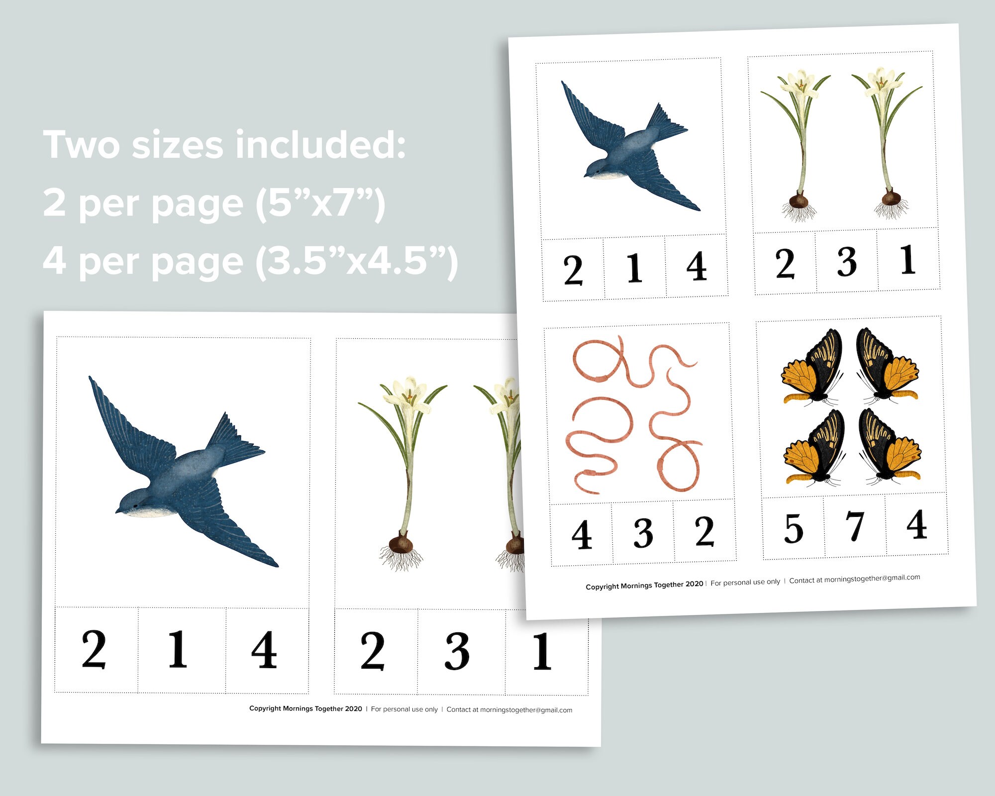 Spring Count and Clip 1-20 Number Cards Spring Homeschool | Etsy