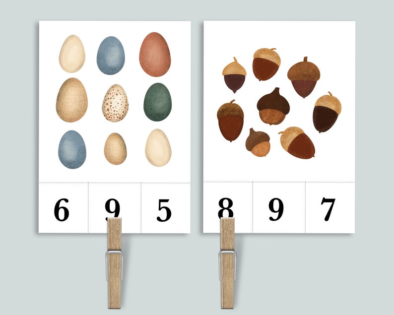 Nature Count and Clip Number Cards 1-10 | Charlotte Mason Homeschool ...