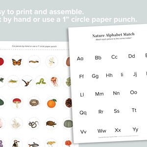 Nature ABC Beginning Sounds Activity Match Nature Busy Book - Etsy