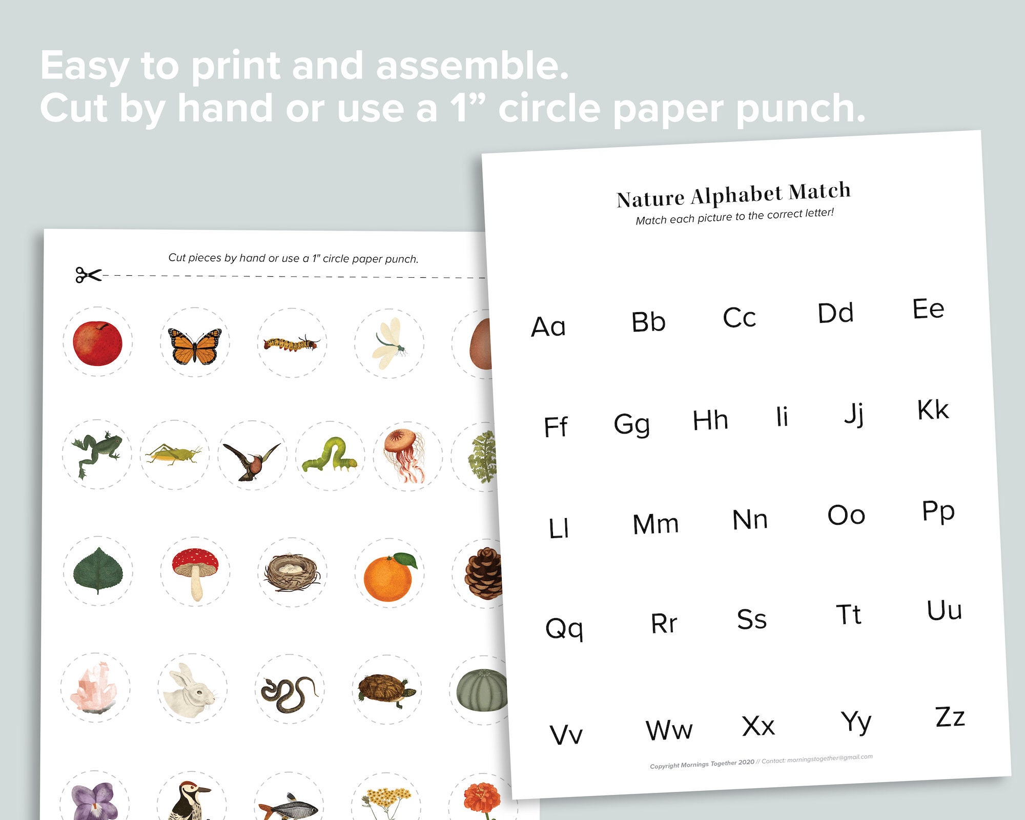 Nature ABC Beginning Sounds Activity Match Nature Busy Book - Etsy