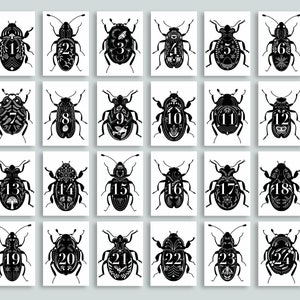 DIY Nature Advent Calendar Printable Editable Holiday Activity Pages ...