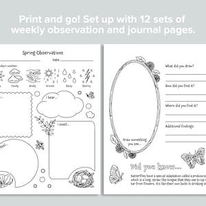 Spring Nature Journal Book Set | Homeschool Printables | Charlotte ...