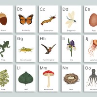 Nature Alphabet Posters | Preschool | School Notice Board | Alphabet ...