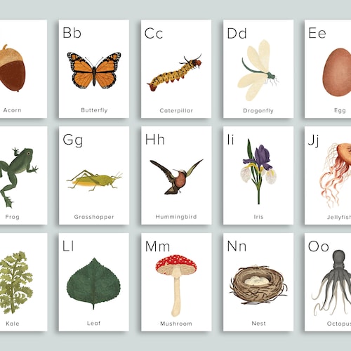 Nature ABC Posters Printable Full Page Homeschool - Etsy