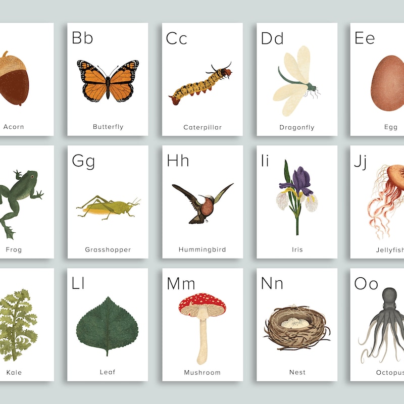 Alphabet Cards Physical - Etsy