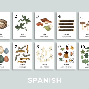 BUNDLE Spanish Preschool Homeschool Printable | Color Nature Number ...