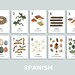 BUNDLE Spanish Preschool Homeschool Printable | Color Nature Number ...