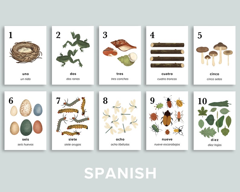 BUNDLE Spanish Preschool Homeschool Printable Color Nature | Etsy