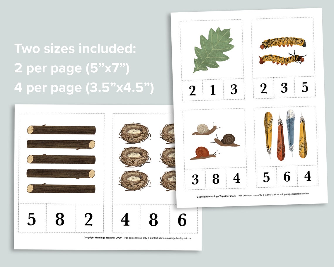 Nature Count and Clip Number Cards 1-10 Charlotte Mason | Etsy