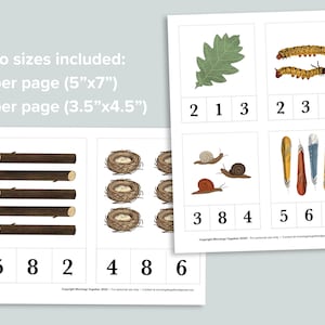 Nature Count and Clip Number Cards 1-10 | Charlotte Mason Homeschool ...