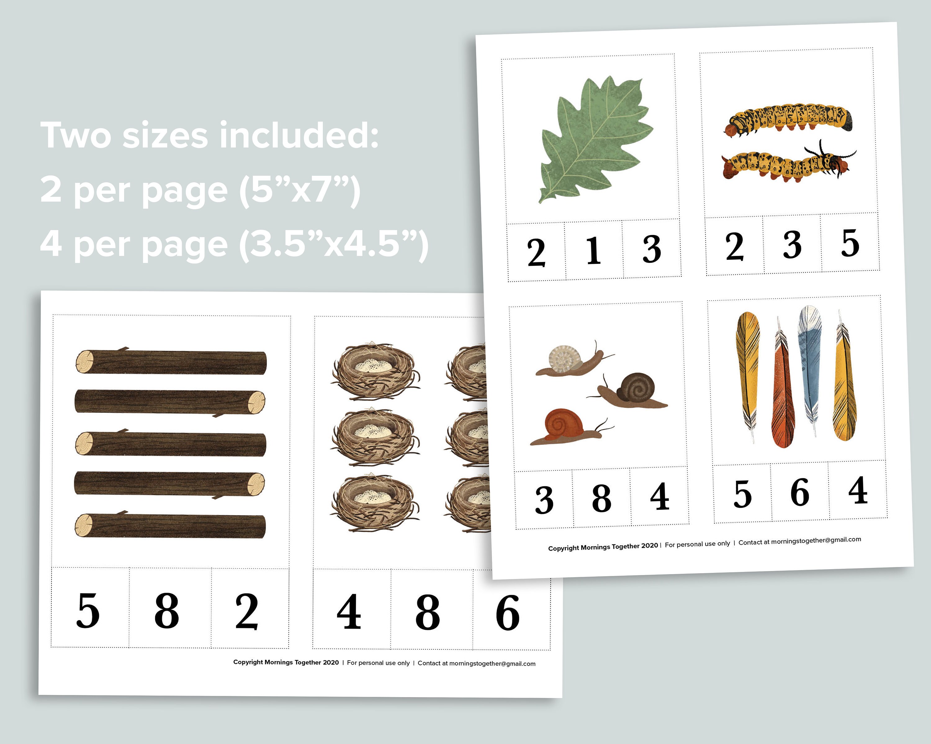 Nature Count and Clip Number Cards 1-10 Charlotte Mason | Etsy