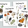 Nature Scavenger Hunt Printable Charlotte Mason Homeschool Printables ...