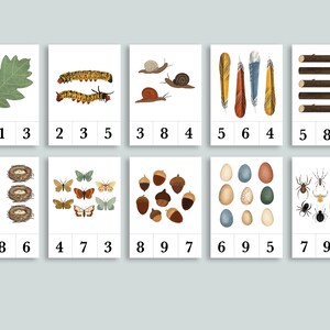 Count and Clip BUNDLE 2 | Clothespin Number Cards | Nature Homeschool ...