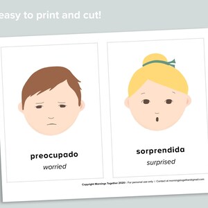 Spanish & English Emotions Bilingual Flashcards Printable | Feelings ...
