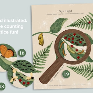 1-20 Bug Counting Activity | Preschool Nature Busy Book Pages | Numbers ...
