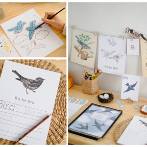 Nature Alphabet Guide Curriculum | Homeschool Preschool Printables ...