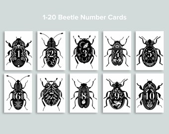 Nature Number Cards 1-20 Charlotte Mason Pre K Homeschool | Etsy