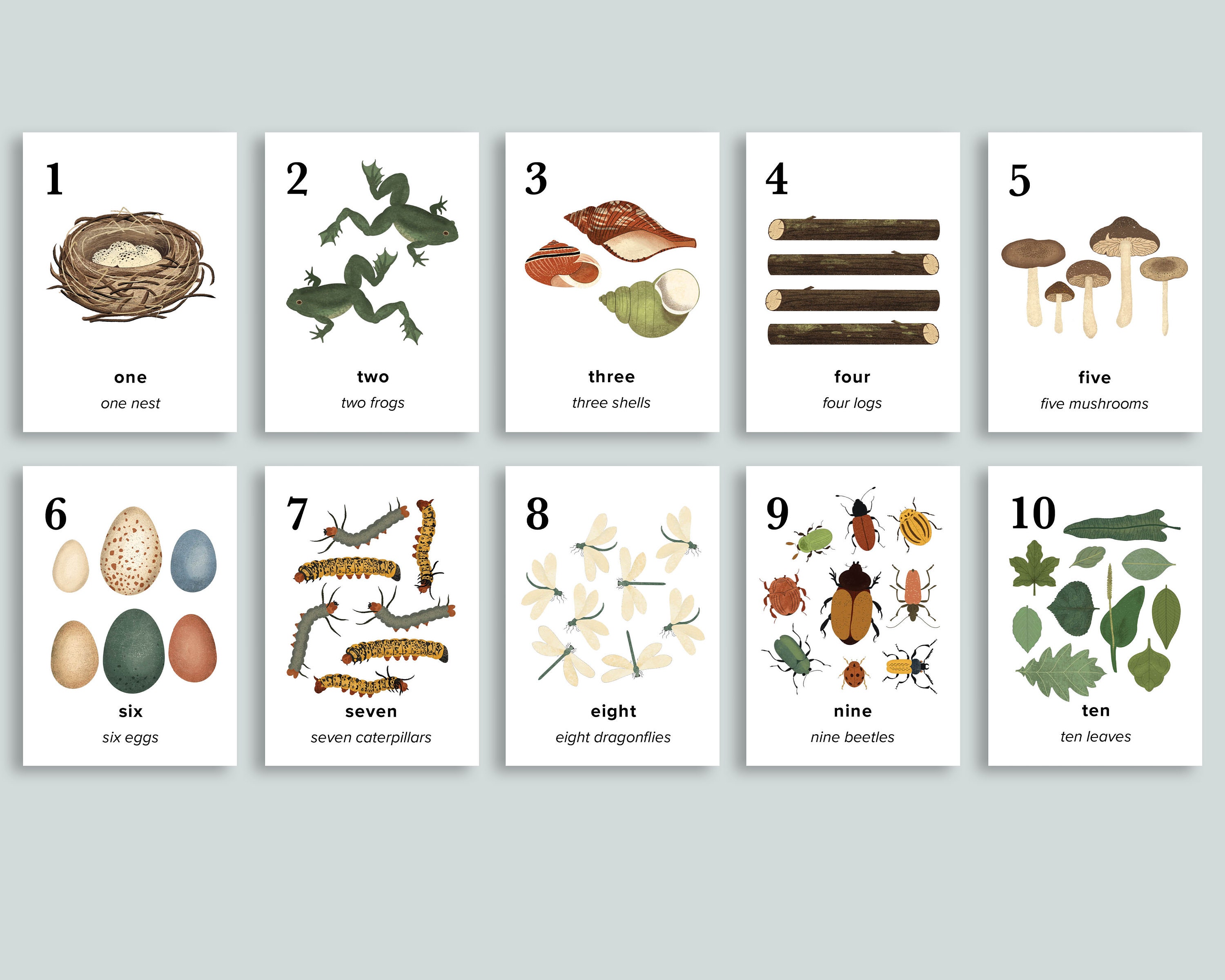 Nature Number Cards 1-20 Charlotte Mason Pre K Homeschool - Etsy
