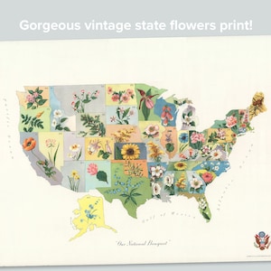 USA Bundle | Homeschool Printables | State Coloring Pages and Posters ...