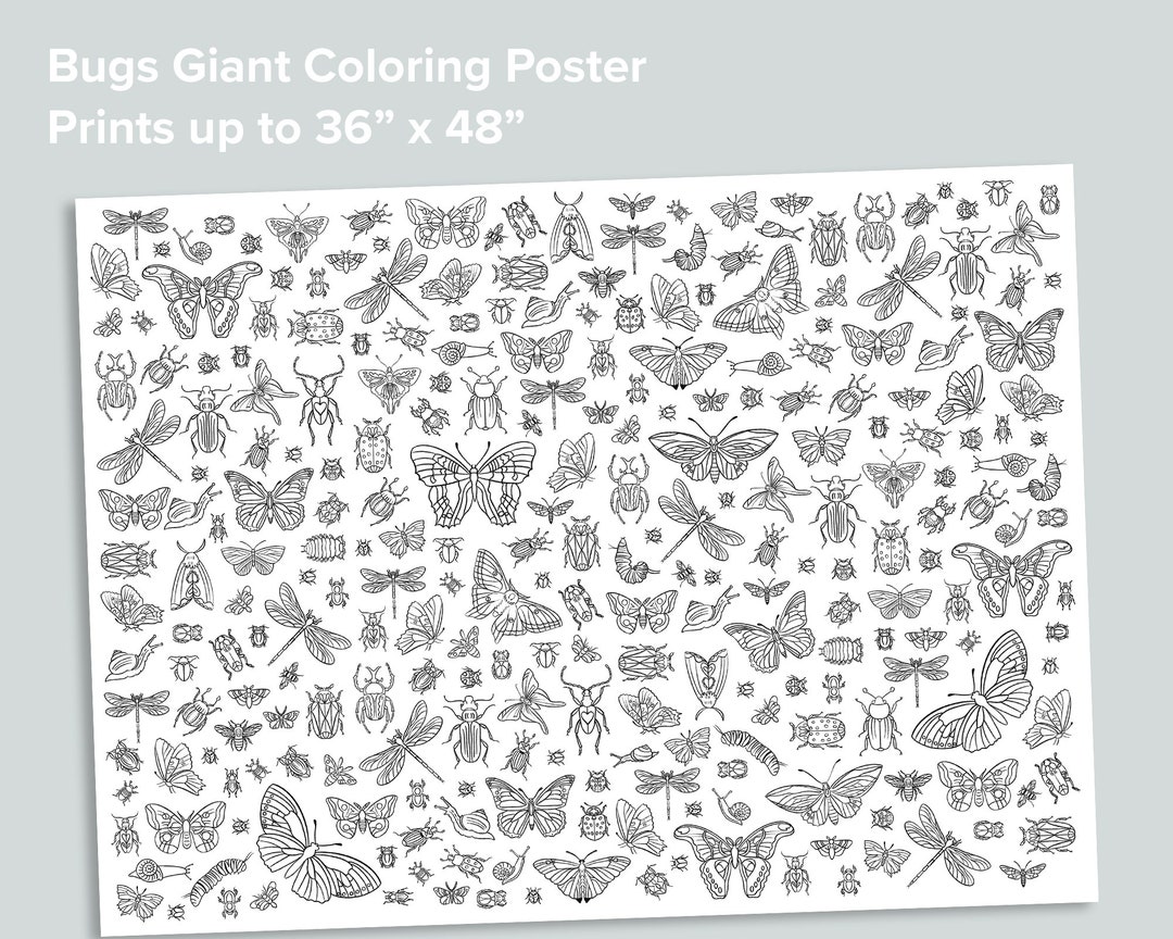 Bugs Giant Coloring Poster | Homeschool Nature Printables | Black and ...