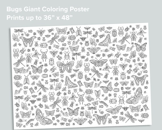 Bugs Giant Coloring Poster Homeschool Nature Printables - Etsy