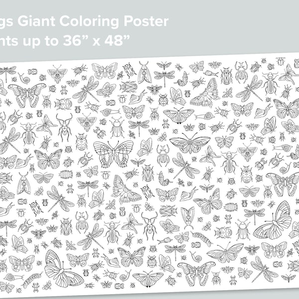 Insect Poster - Etsy