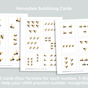 Honeybee Activity Pack BUNDLE | Nature Flashcards | Homeschool ...
