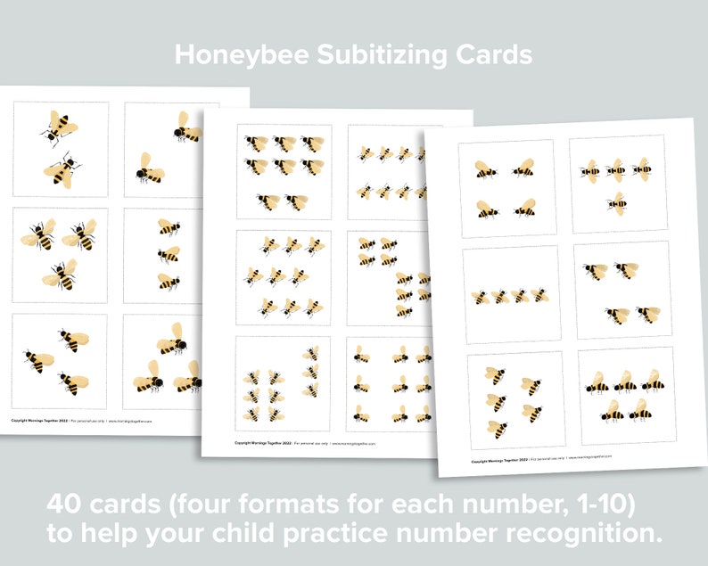 Honeybee Activity Pack BUNDLE | Nature Flashcards | Homeschool ...
