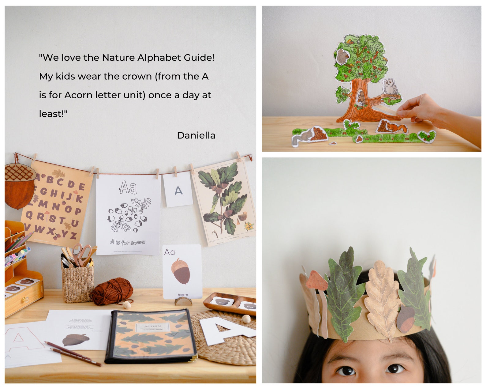 Nature Alphabet Guide Curriculum | Homeschool Preschool Printables ...
