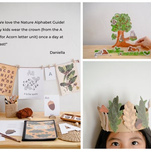 Nature Alphabet Guide Curriculum | Homeschool Preschool Printables ...