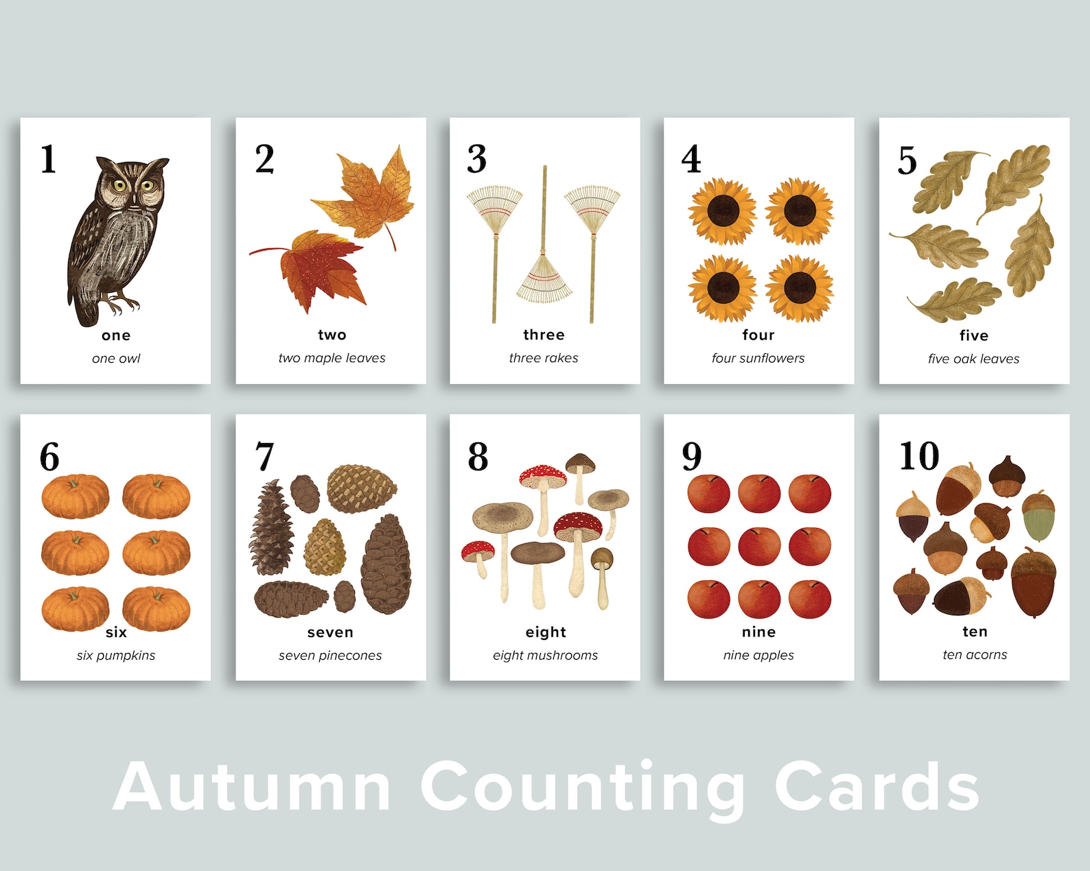 Autumn Nature Number Cards Printable | Fall Homeschool Printables ...