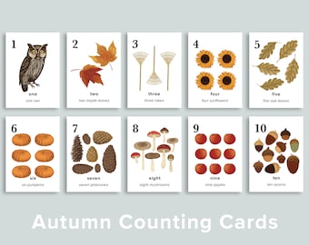 Nature Number Cards Charlotte Mason Homeschool Printables | Etsy