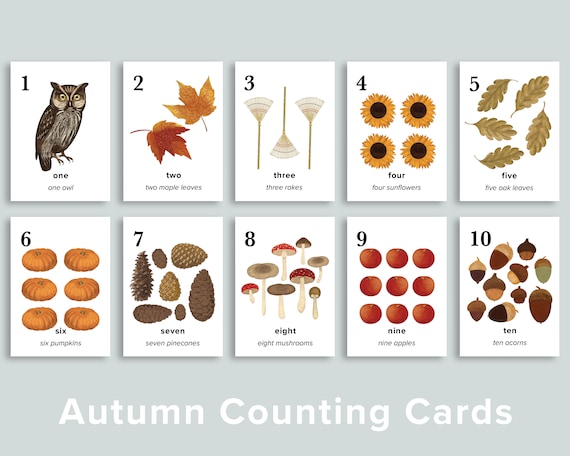 Autumn Nature Number Cards Printable Fall Homeschool | Etsy
