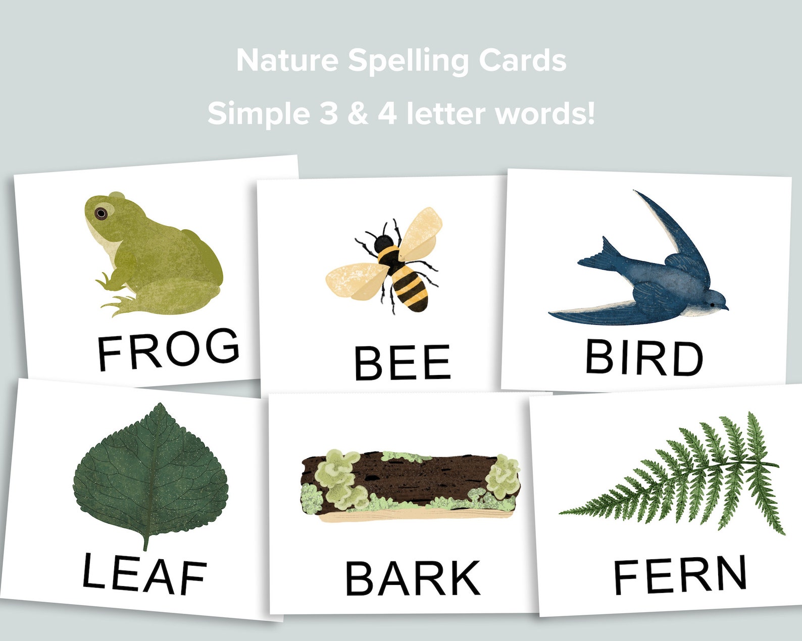 Nature Spelling Cards Simple Words Easy Early Reading - Etsy