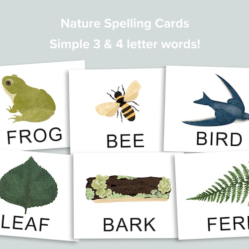 Nature Spelling Cards Simple Words Easy Early Reading - Etsy