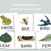 Nature ABC Posters Printable Full Page Homeschool Printables Preschool ...