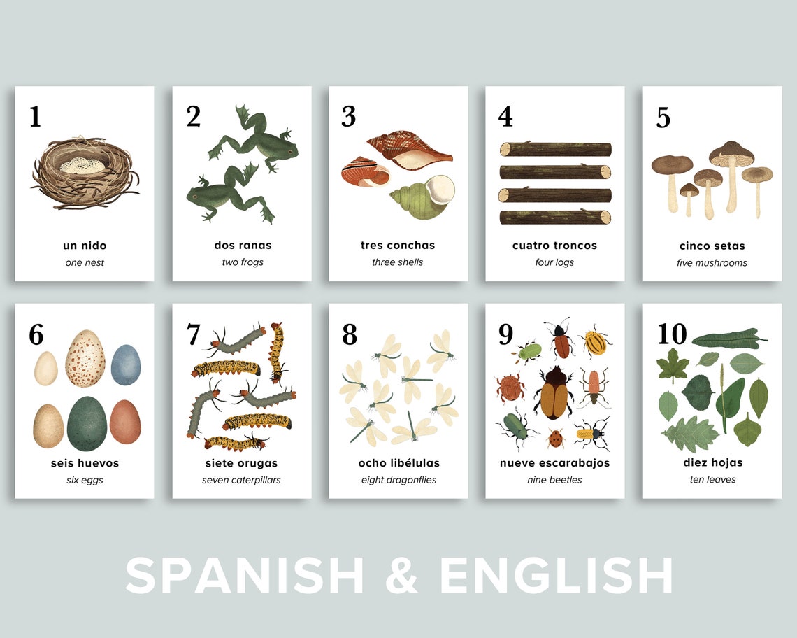 Spanish & English Nature Number Cards 1-20 Bilingual Printable | Etsy
