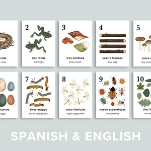 Spanish & English Nature Number Cards 1-20 Bilingual Printable ...