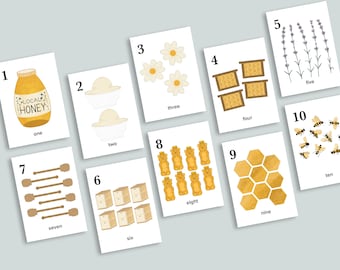 Honey Bees Mini Unit Nature Study Charlotte Mason Homeschool - Etsy