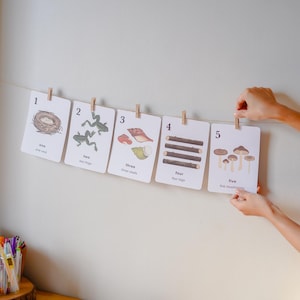 Nature Number Cards 1-20 | Charlotte Mason Pre K | Homeschool ...