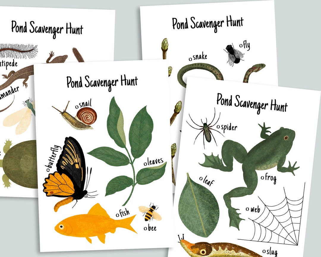 Pond Scavenger Hunt Printable Charlotte Mason Homeschool Printables ...