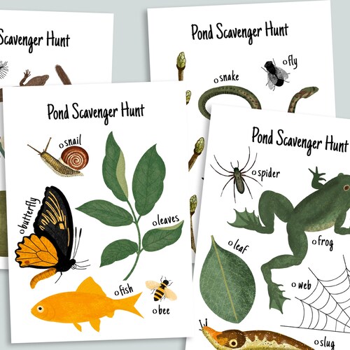 Pond Scavenger Hunt Printable Charlotte Mason Homeschool - Etsy