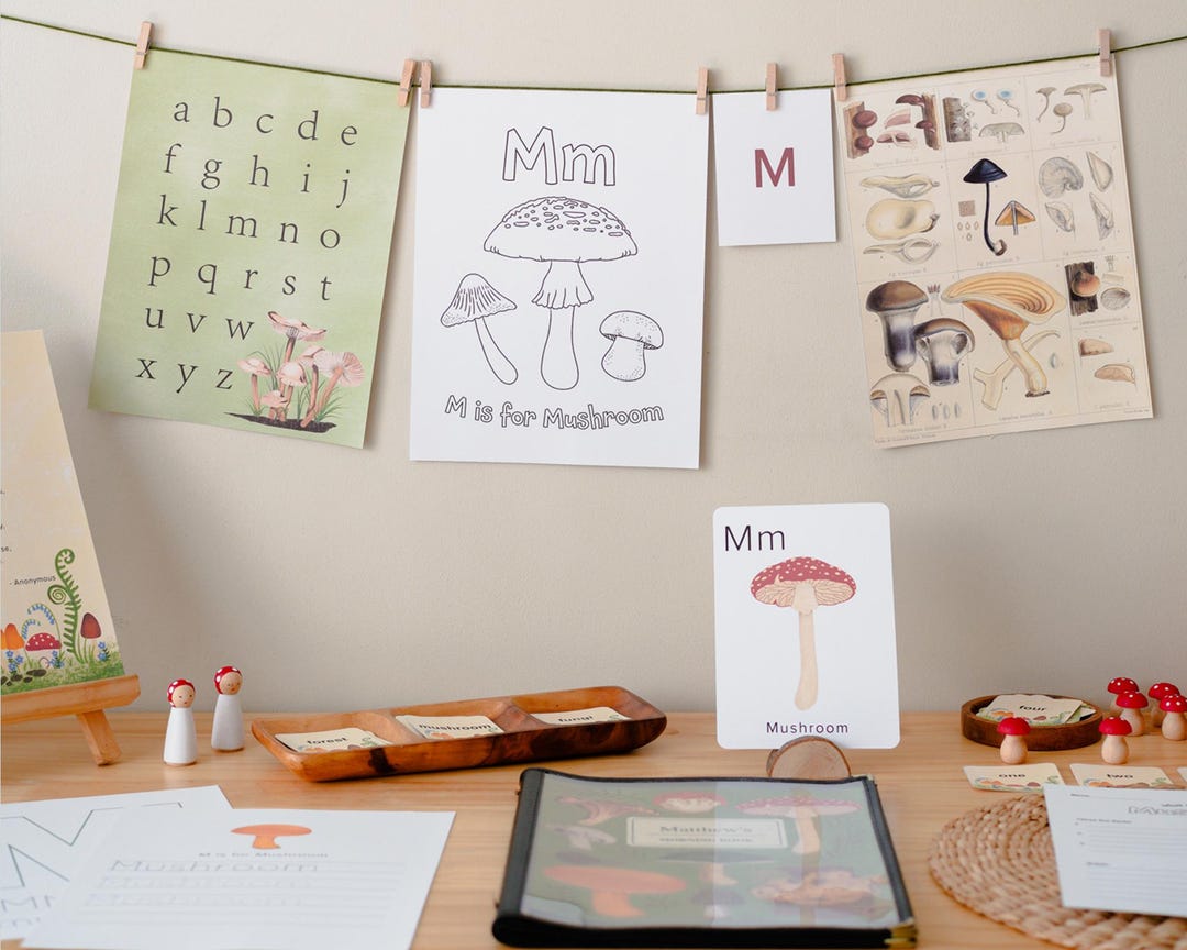 Mushroom Unit Study | Nature Alphabet Guide Curriculum | Homeschool ...