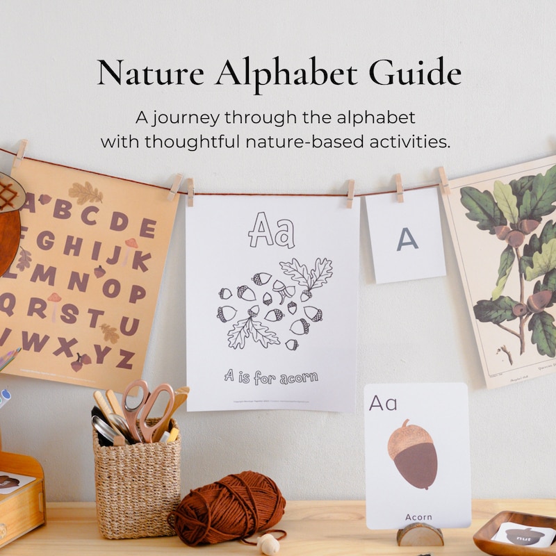 Preschool Curriculum - Etsy