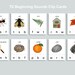 Beginning Sounds Clip Cards | Nature ABC Printable | Phonics Activity ...