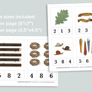 BUNDLE Nature Preschool Homeschool Printables | Charlotte Mason Number ...