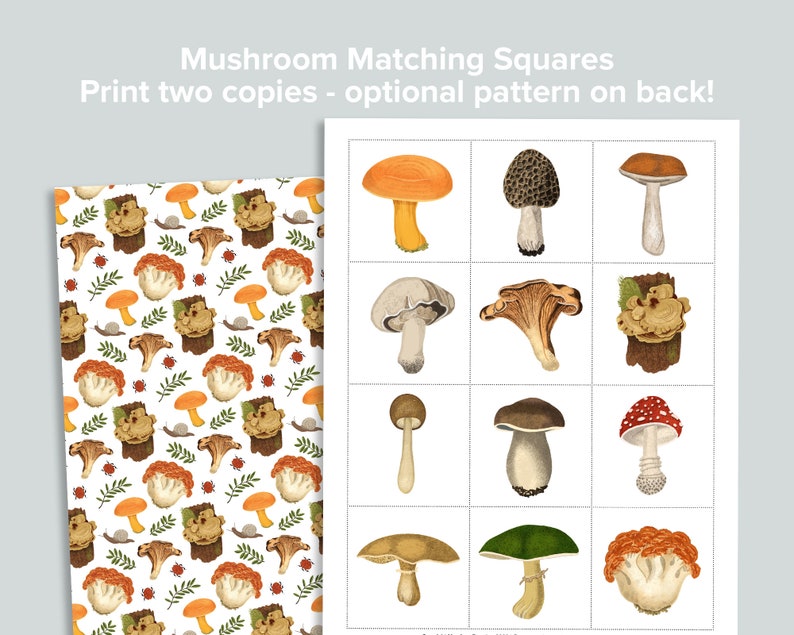 Mushroom Activity Pack Bundle Homeschool Printables - Etsy