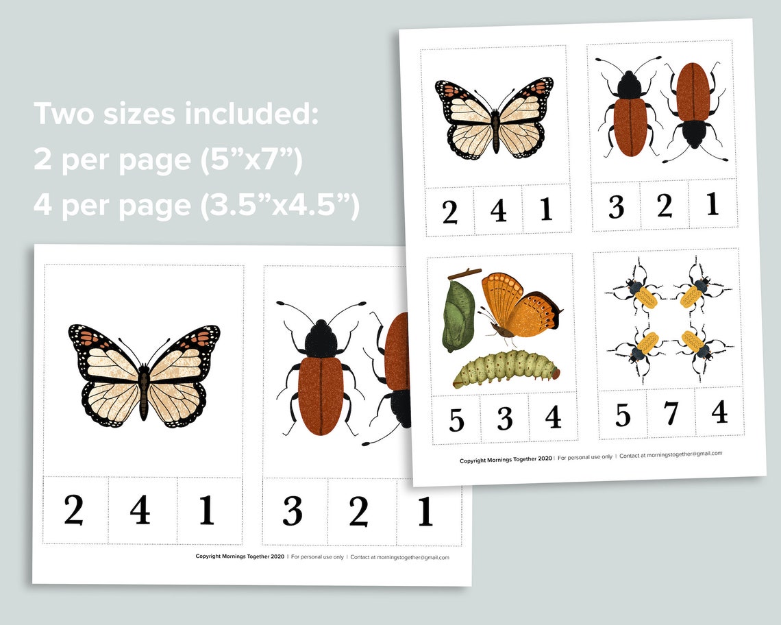 Bugs Count and Clip 1-20 Number Cards Nature Homeschool - Etsy