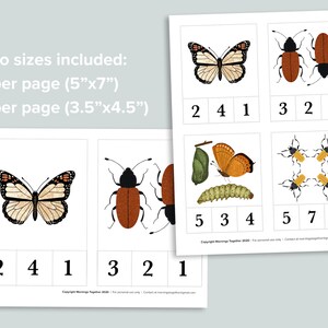 Bugs Count and Clip 1-20 Number Cards | Nature Homeschool Printables ...