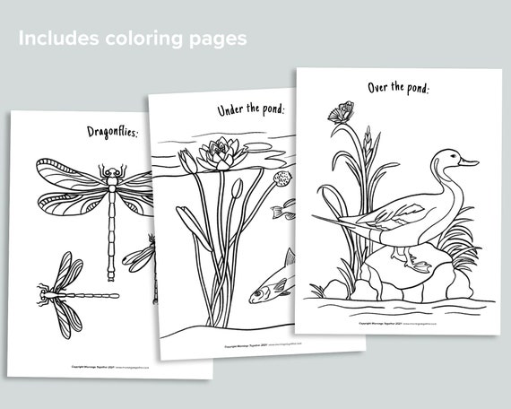 Pond Habitat Coloring Pages